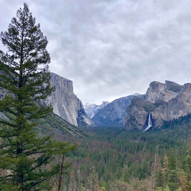 Exploring Yosemite: A Hiker’s Dream – Wild Paths Together